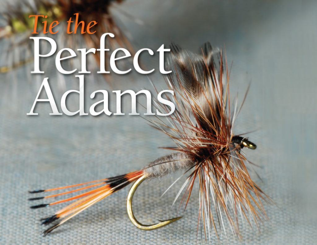 Tie the Perfect Adams | Fly Tyer