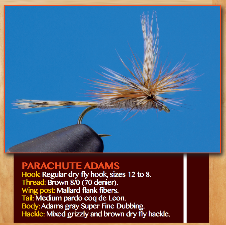 Feathered Friends | Fly Tyer