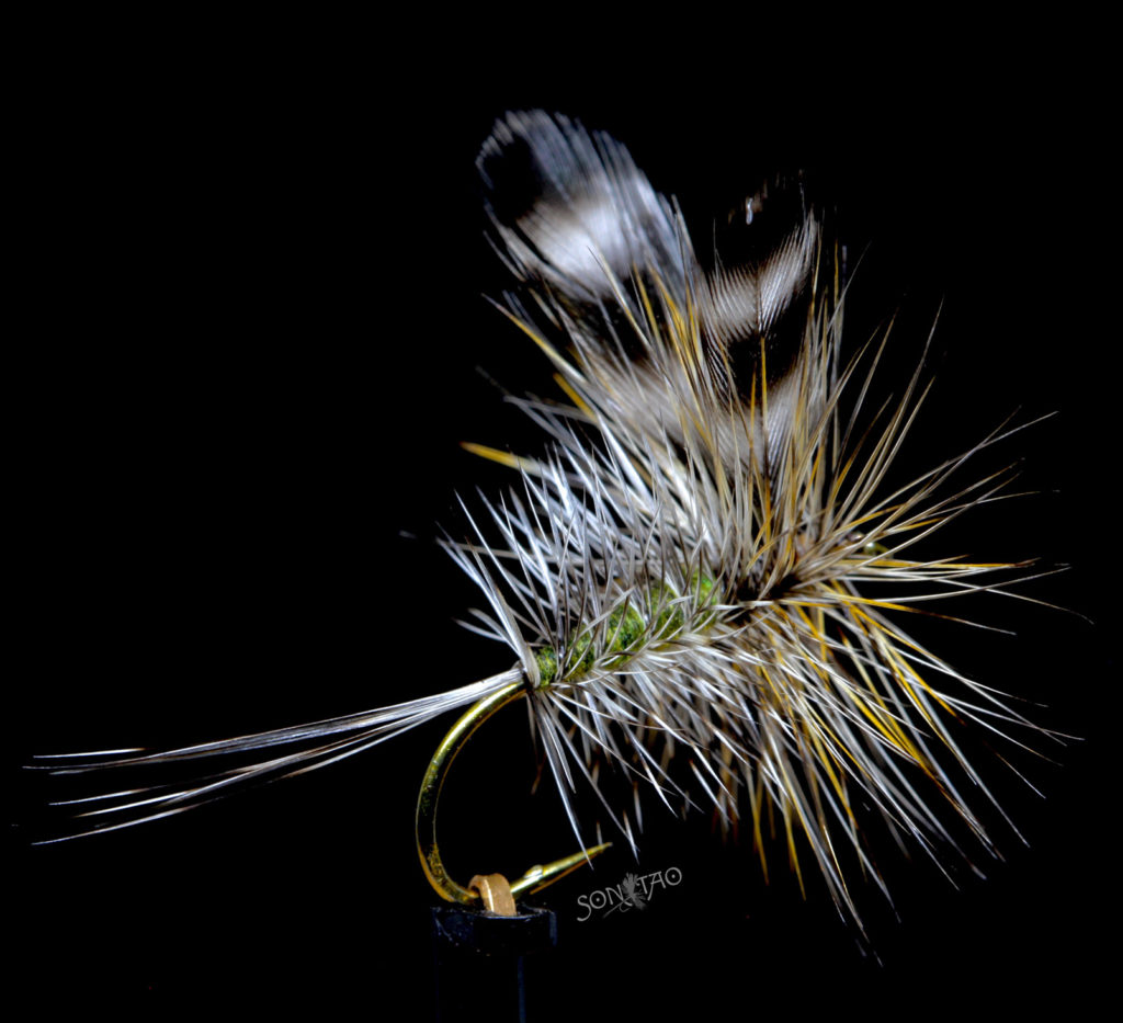 Q&A with Son Tao | Fly Tyer