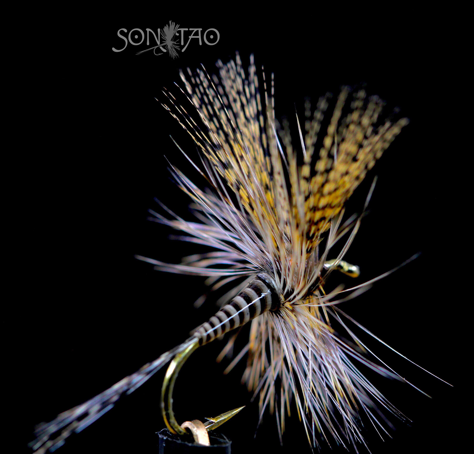 Q&A with Son Tao | Fly Tyer