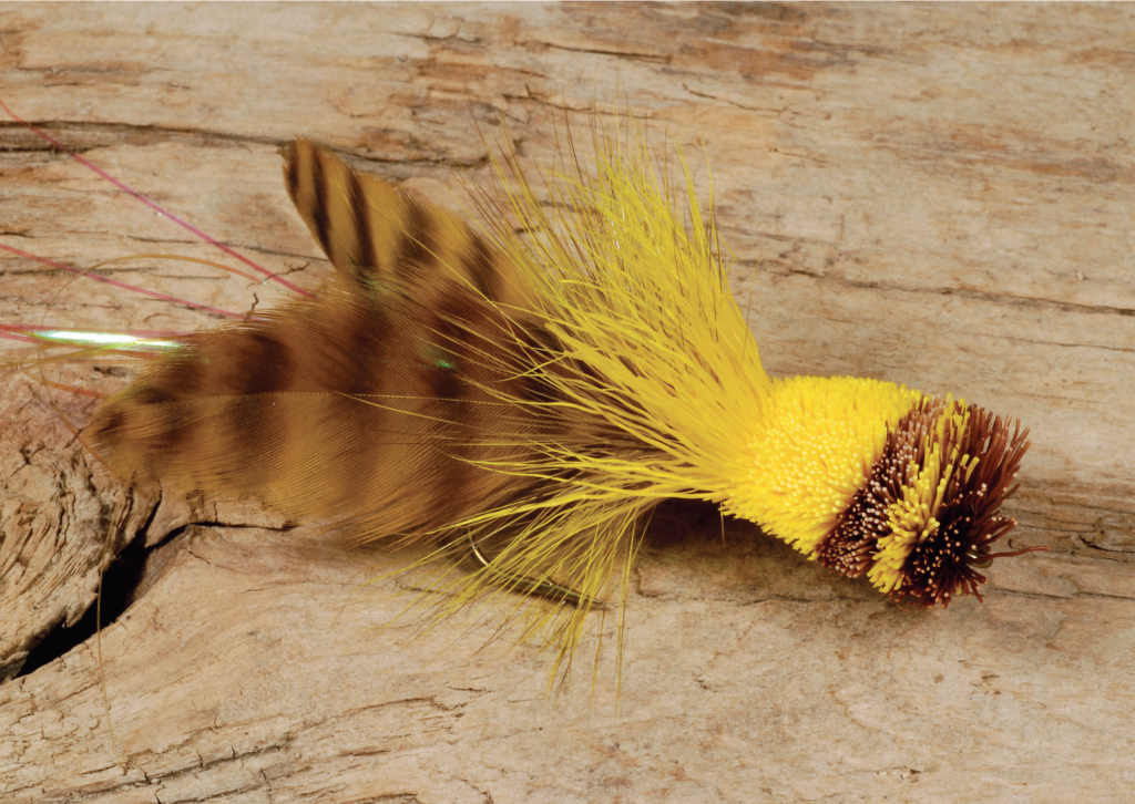 The Spin Doctor Is In | Fly Tyer