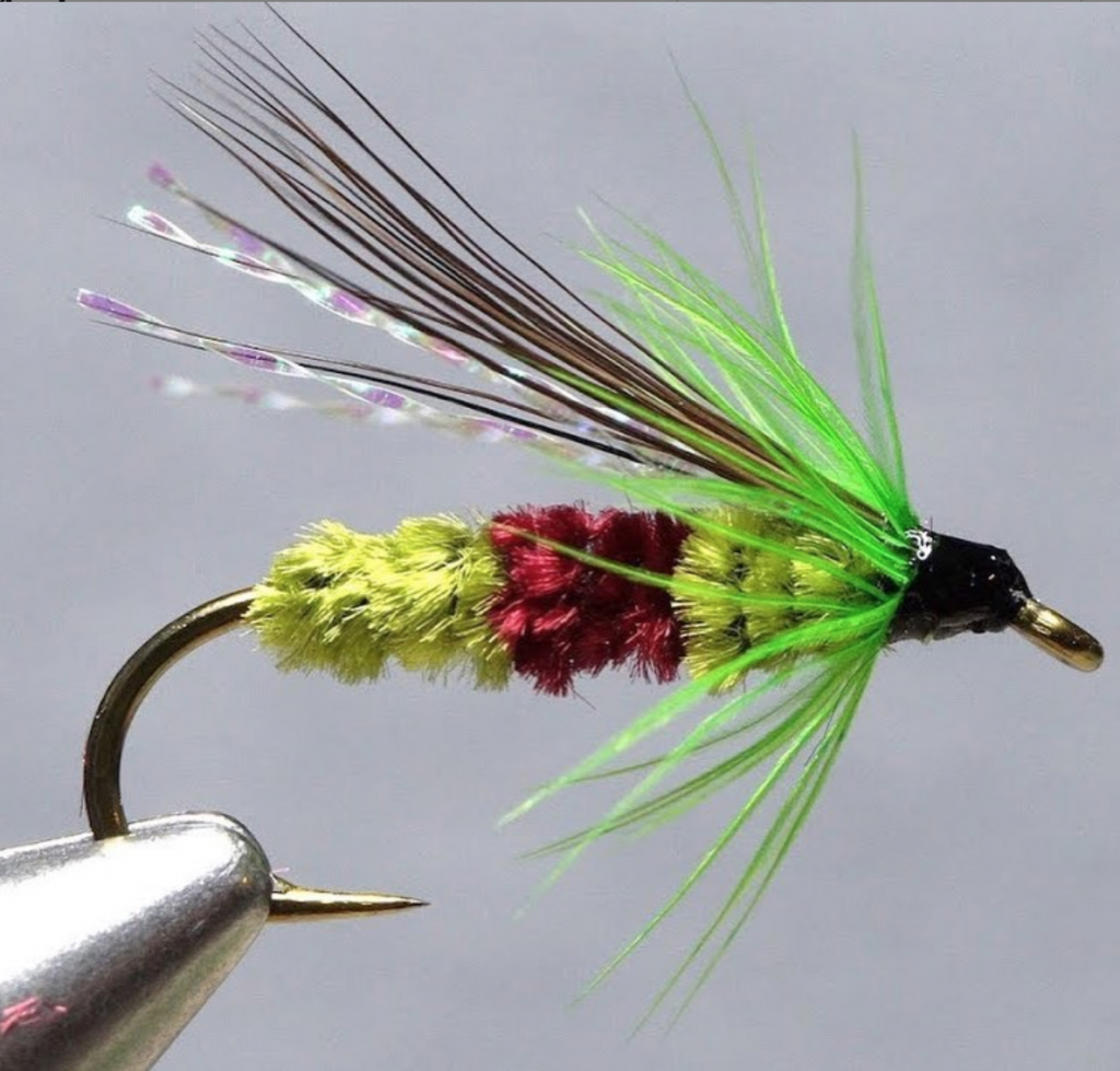 Margaree Bug | Fly Tyer