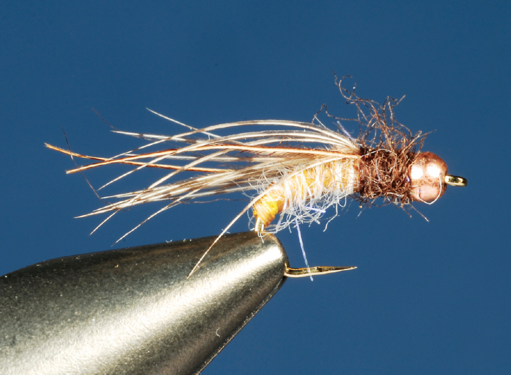 Caddis Pupa | Fly Tyer