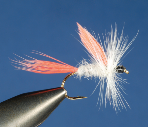 Great Flies of the Adirondacks | Fly Tyer